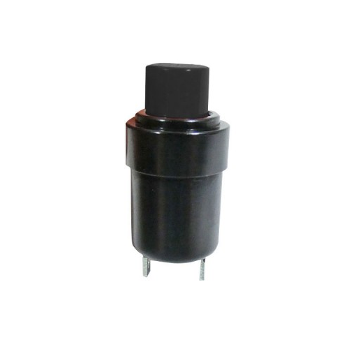 Momentary Switch; P1-12122, 11-00746 – Fallon Pilot Shop